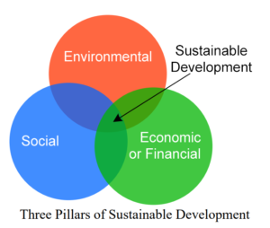 A Beginner's Guide to Understanding Environmental Impact Assessments ...